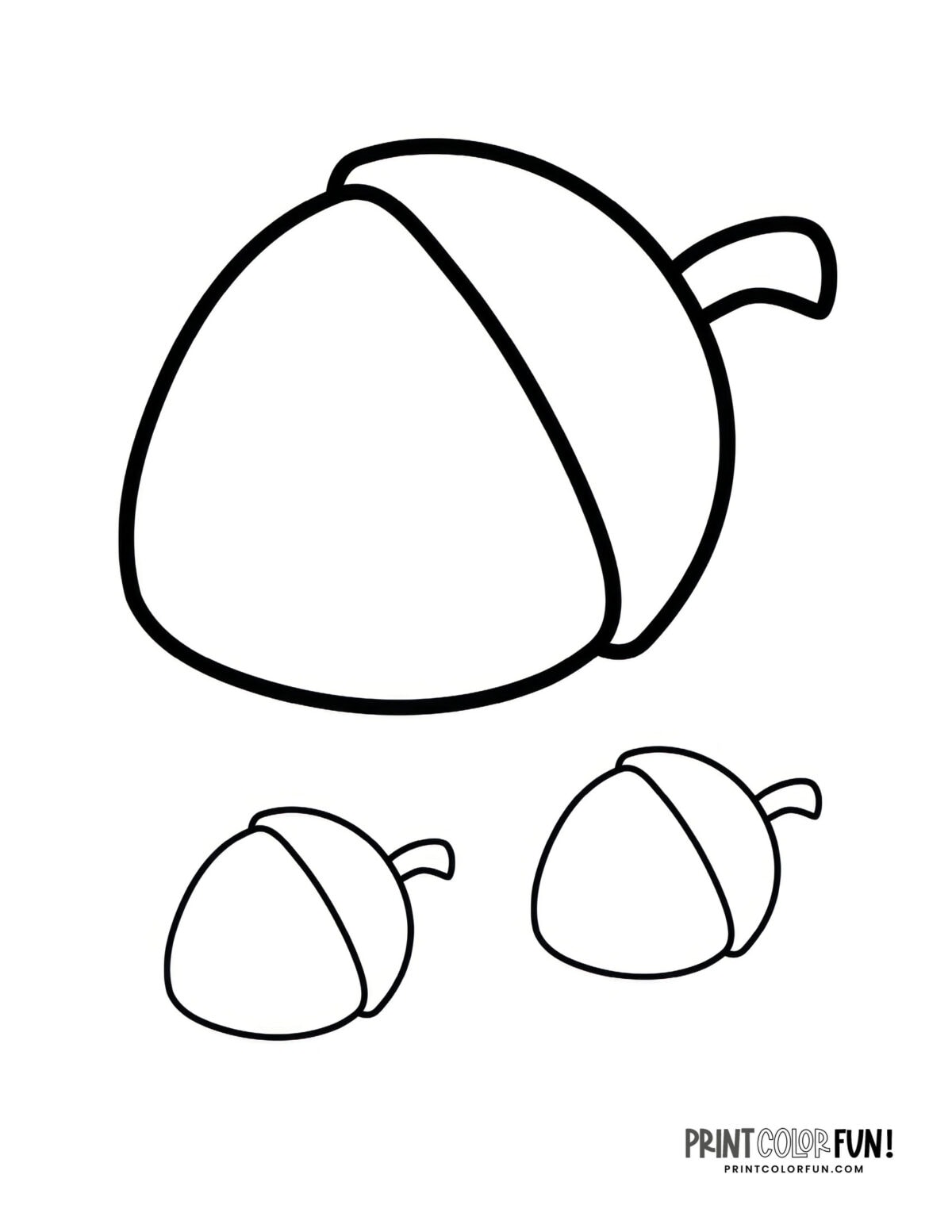20+ Printable acorn clipart & coloring pages, plus crafts, fun facts ...