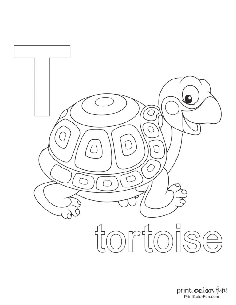 Tortoise coloring pages & clipart, at PrintColorFun.com