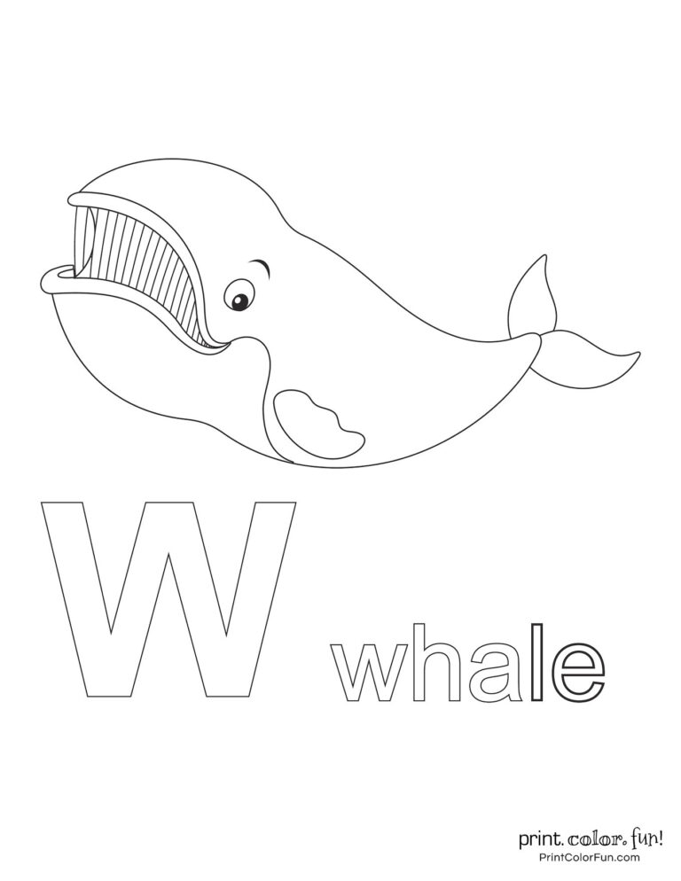 12 whale drawings & clipart: Add a splash of creativity & fun to ...