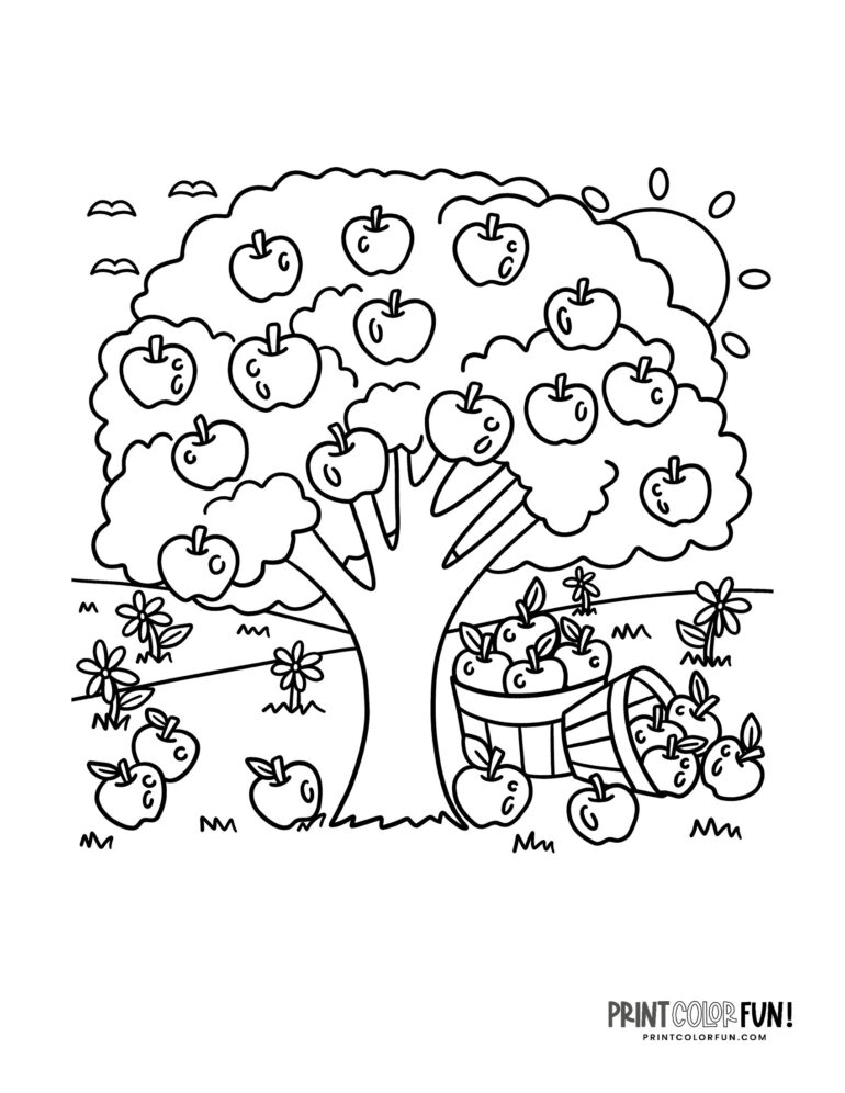 23 apple clipart & coloring pages to celebrate the autumn apple season ...