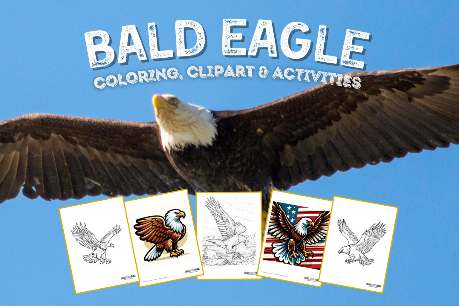 Bald eagle coloring pages & clipart, at PrintColorFun.com