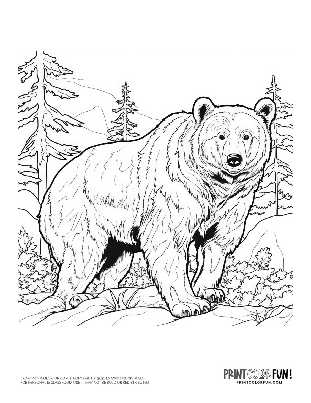 Explore the wild with bear clipart & coloring, plus 10 engaging ...