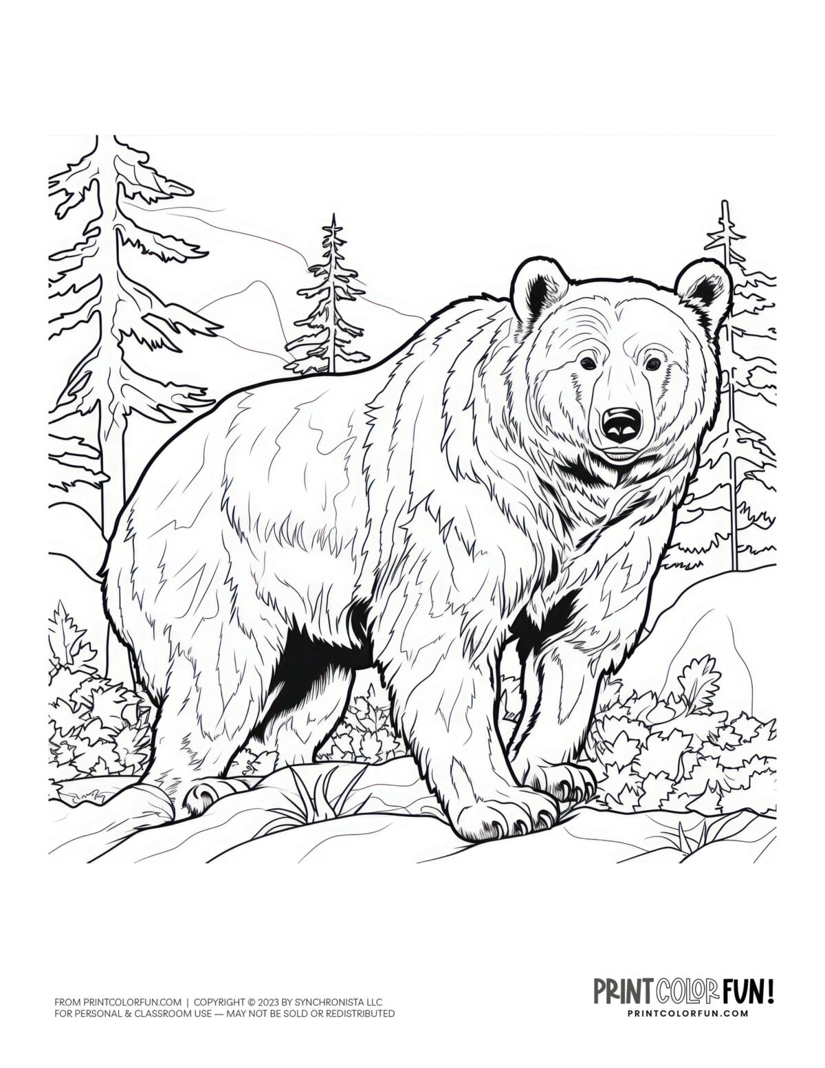 Explore the wild with bear clipart & coloring, plus 10 engaging ...
