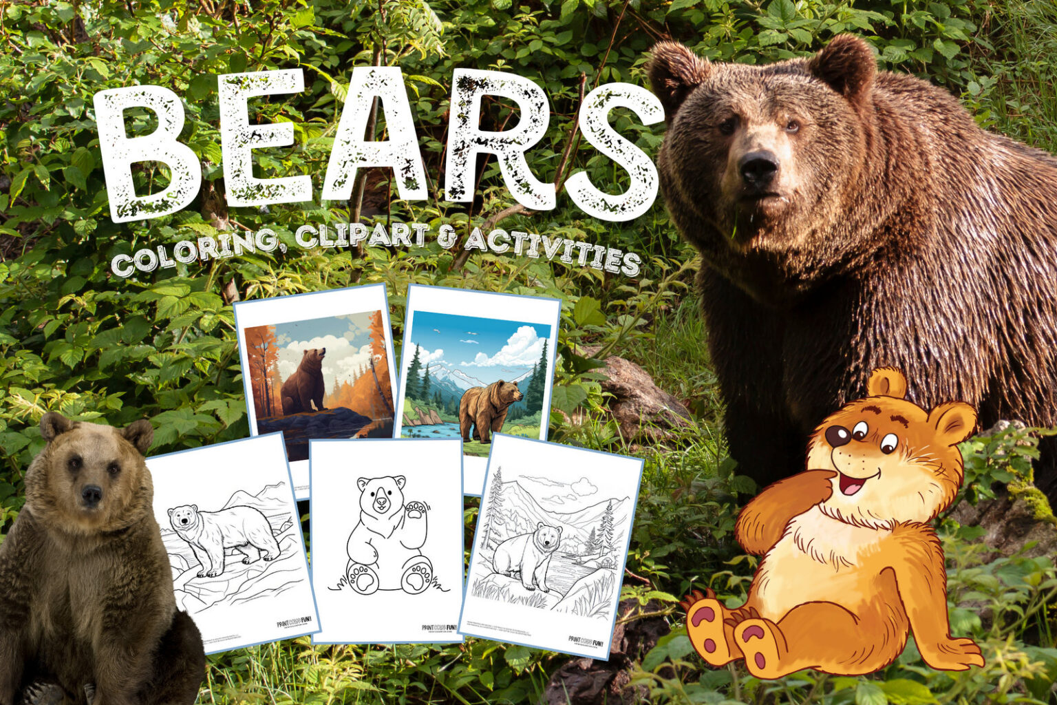 Explore the wild with bear clipart & coloring, plus 10 engaging ...