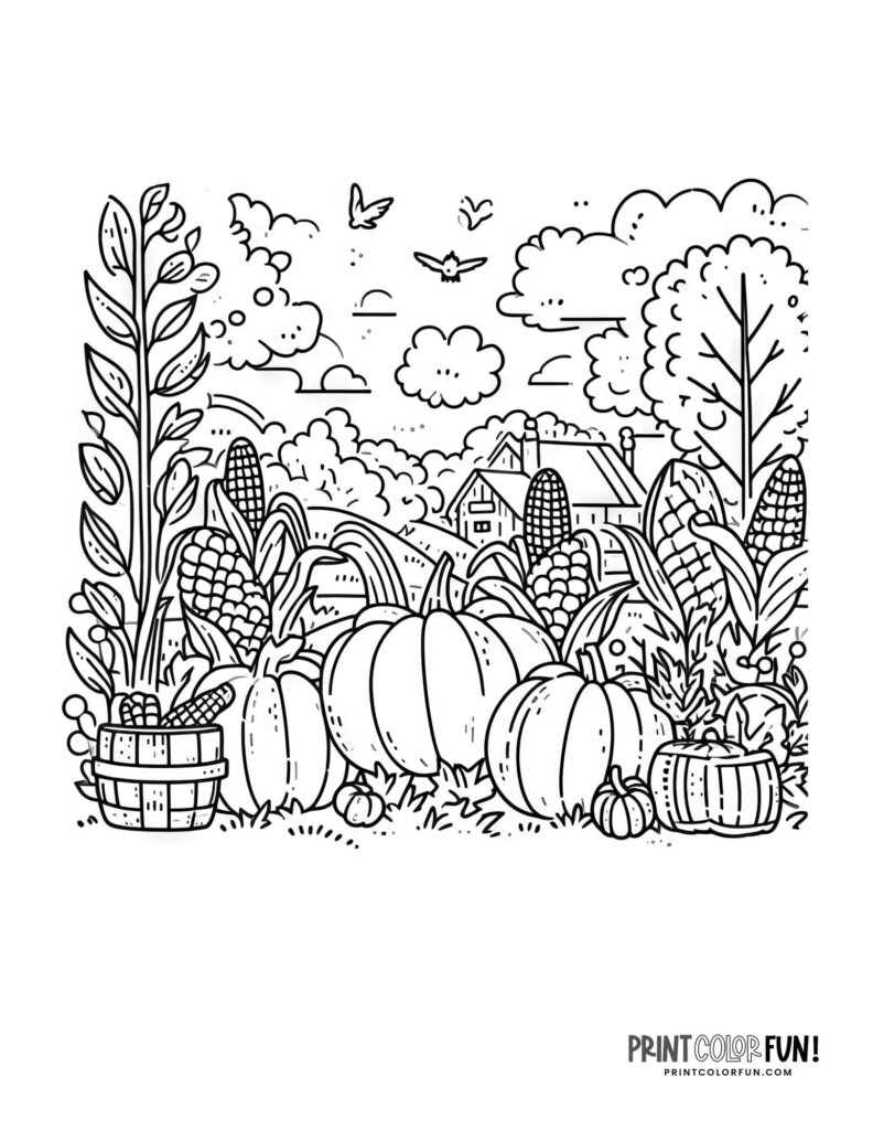Free fall harvest coloring pages: 22 autumn pumpkin patches, hay rides ...
