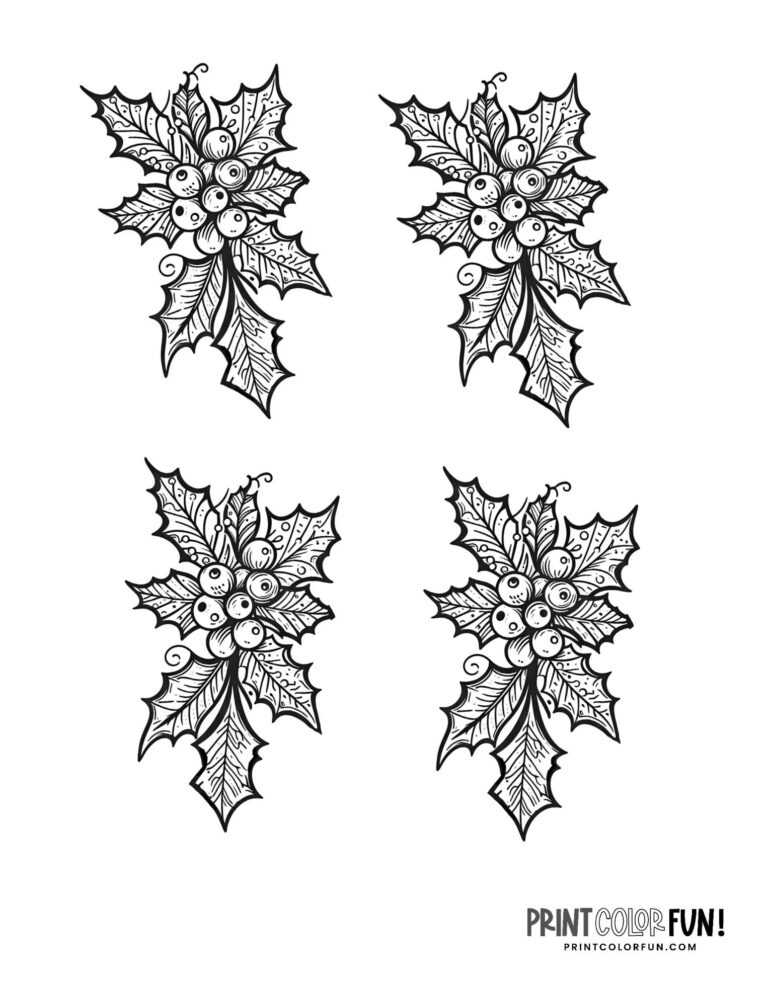 11 holly clipart & coloring pages for festive Christmas crafting fun ...