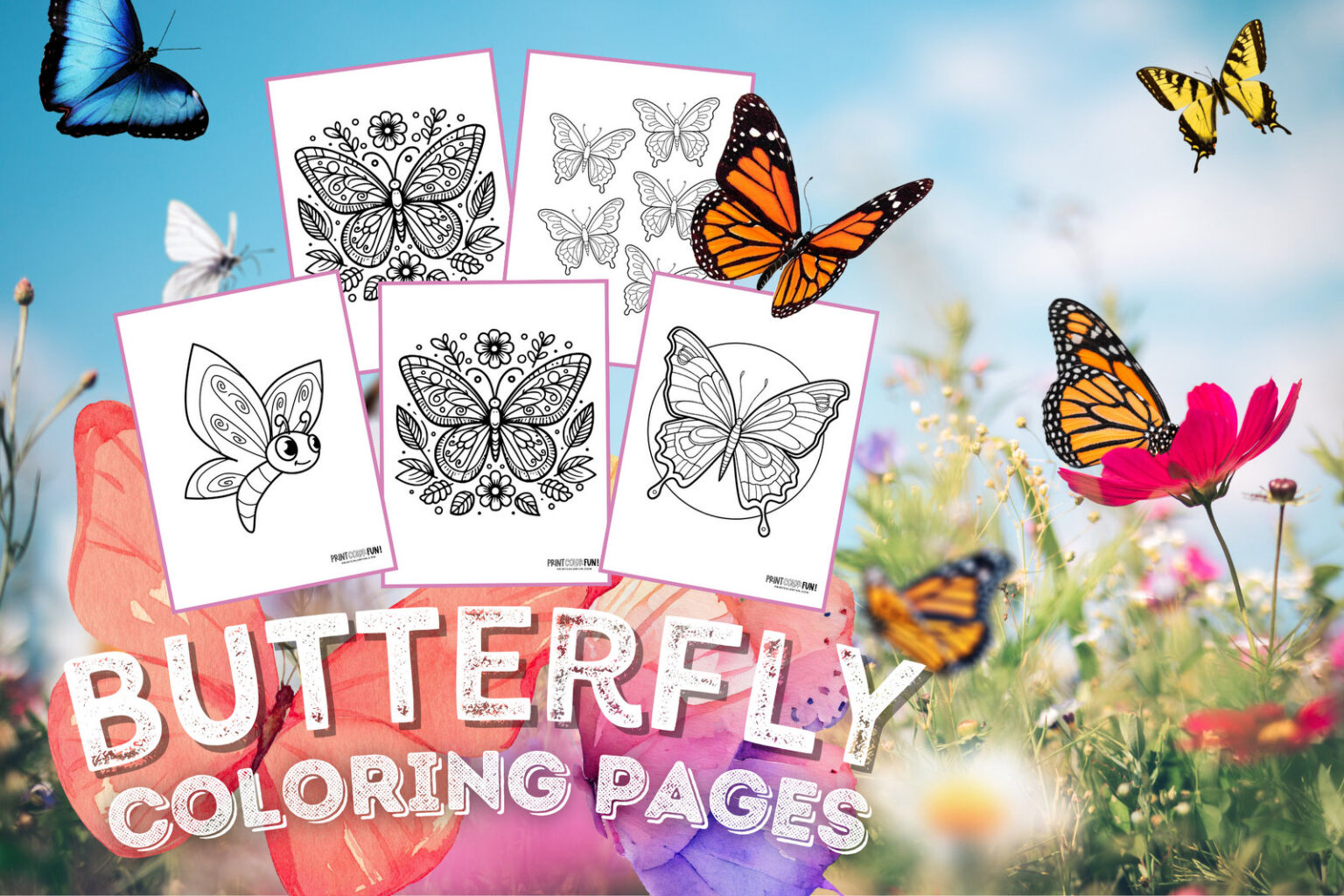 60+ butterfly coloring pages & clipart collection, with both easy ...