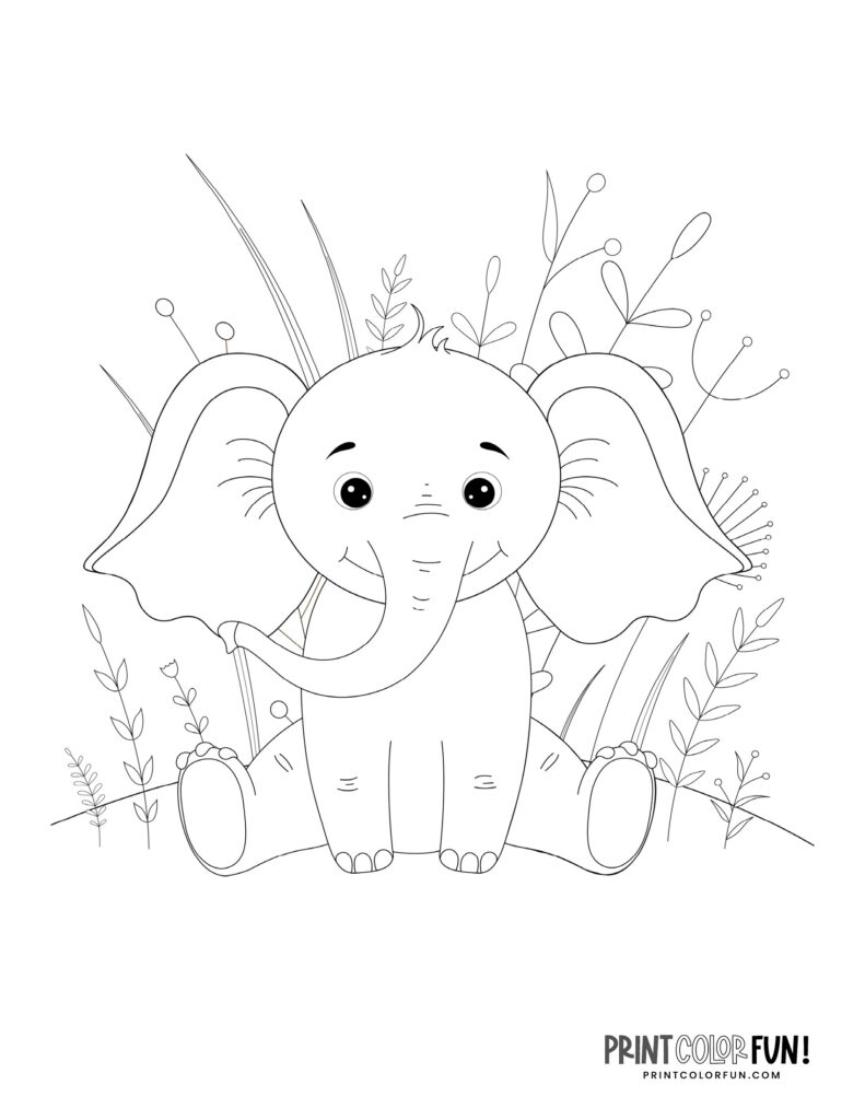14 cute cartoon elephant coloring pages to print, at PrintColorFun.com