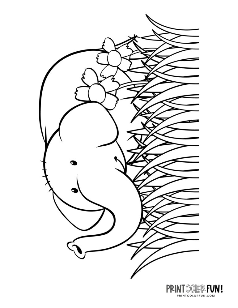 14 cute cartoon elephant coloring pages to print, at PrintColorFun.com