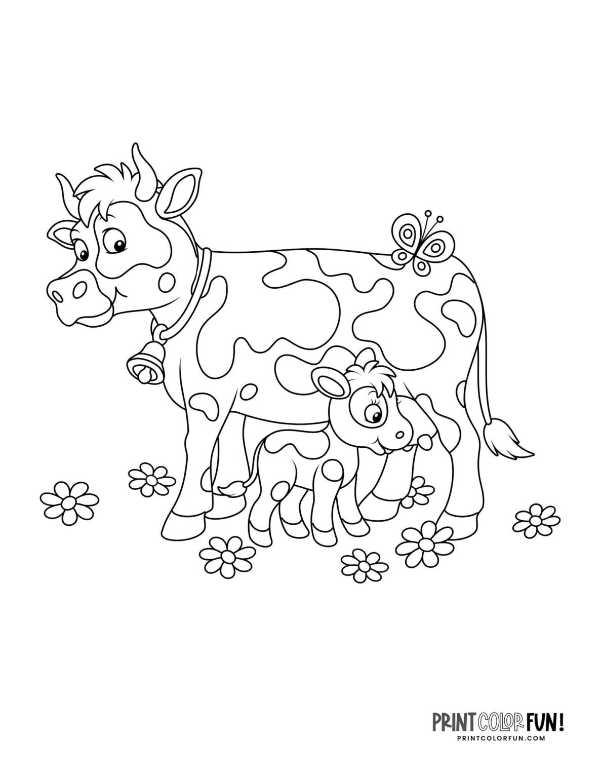 Cow coloring pages & clipart, at PrintColorFun.com