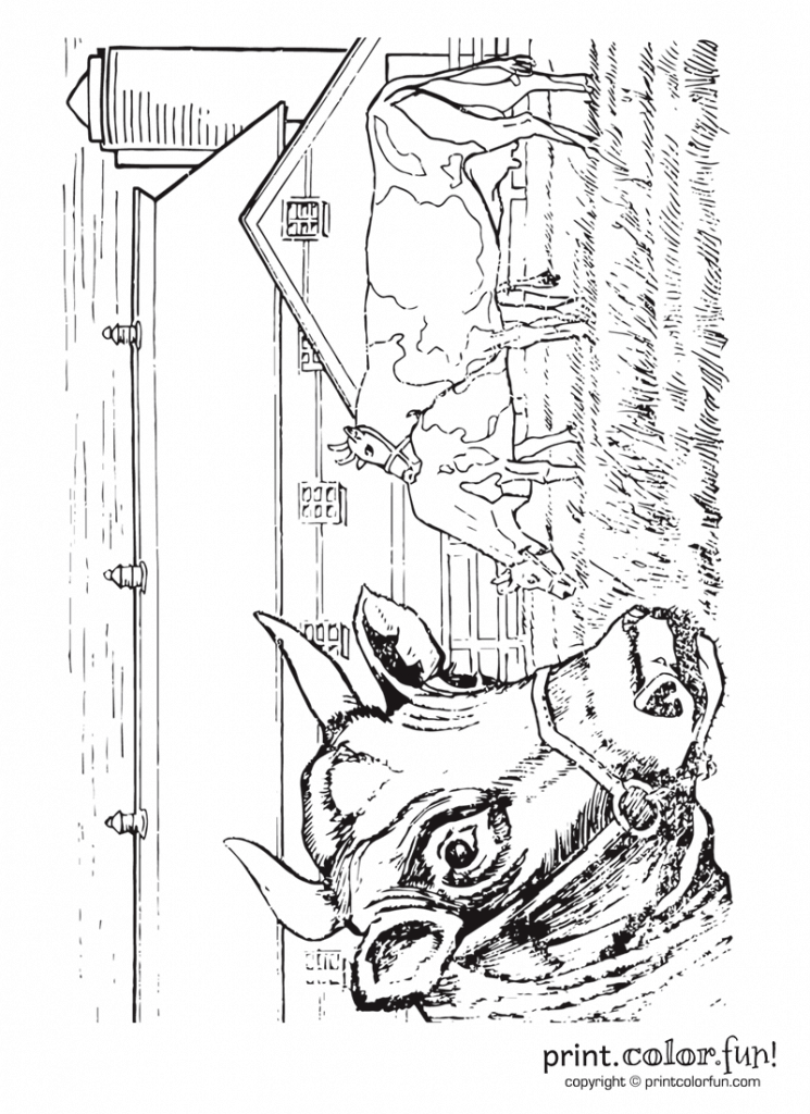 cows - Print. Color. Fun! Free printables, coloring pages, crafts ...