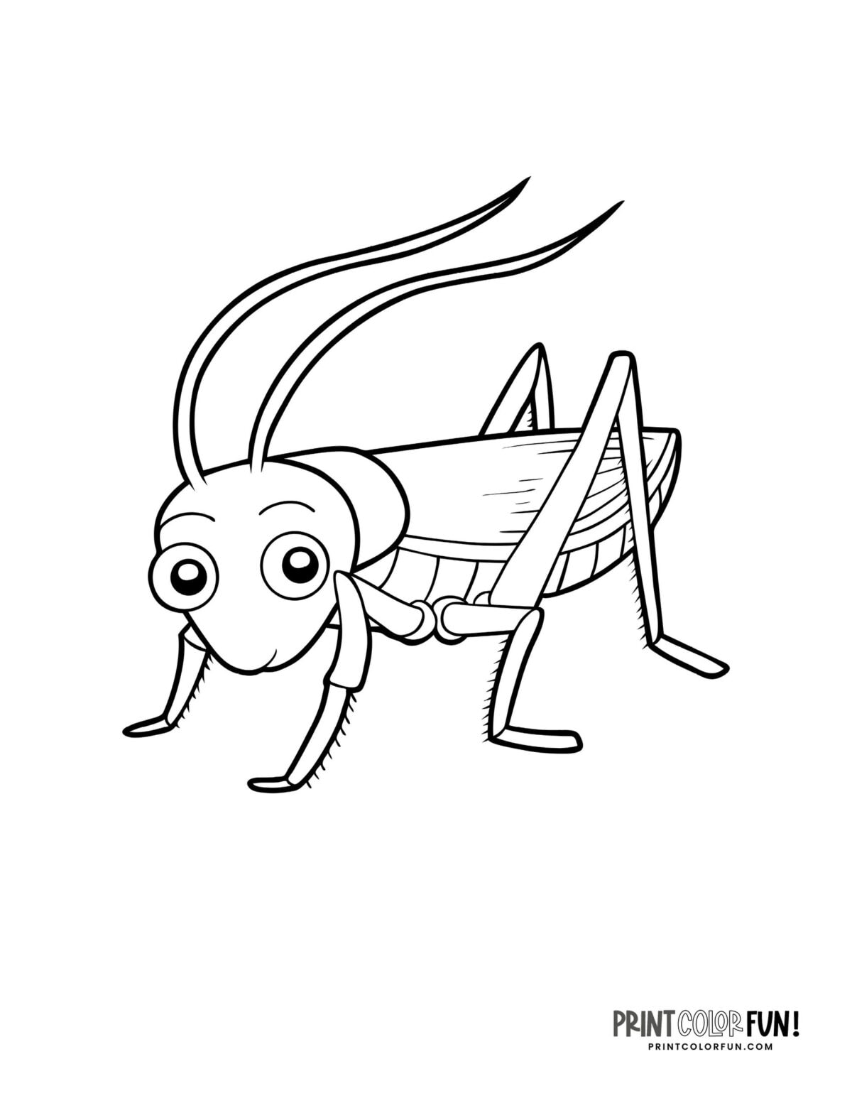 30+ bug clipart & coloring pages: Explore the tiny universe with fun ...
