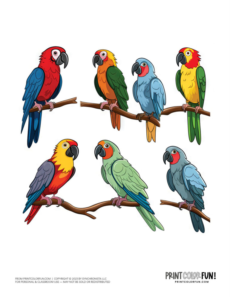 Parrot clipart & coloring pages + 10 fun parrot-themed activities for ...