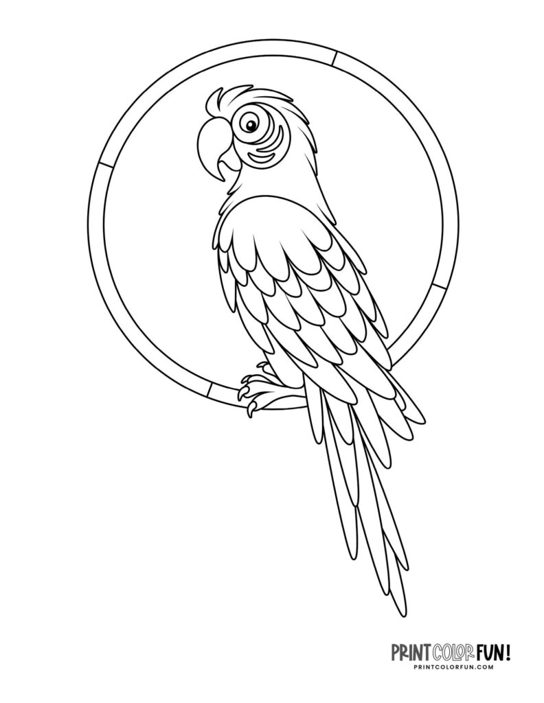 Parrot coloring pages, at PrintColorFun.com