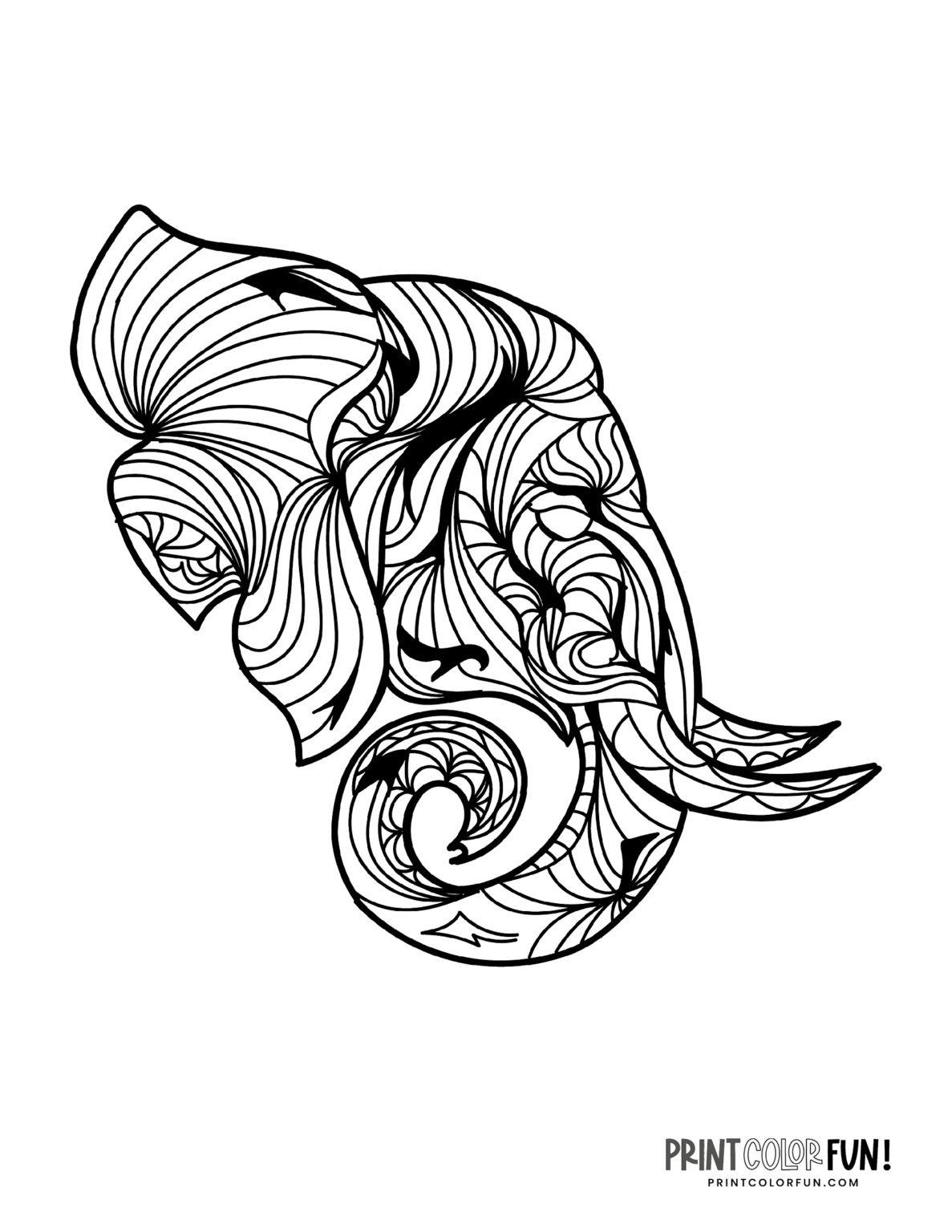 8 elephant adult coloring pages that are decorative & detailed, at ...