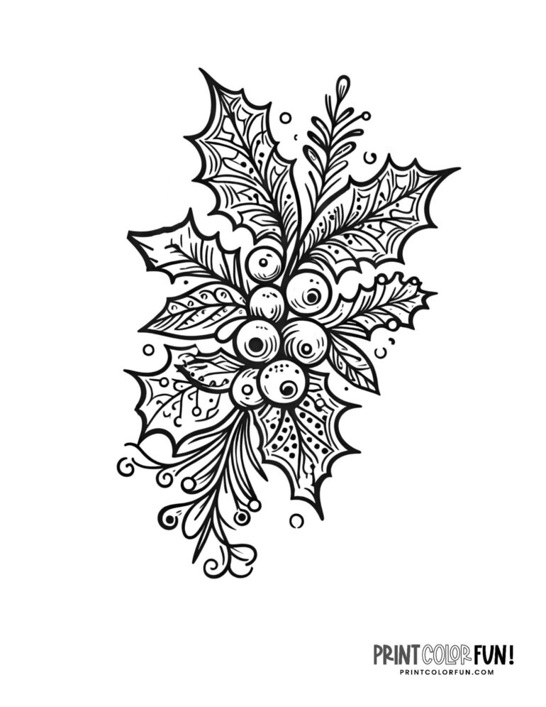 11 holly clipart & coloring pages for festive Christmas crafting fun ...