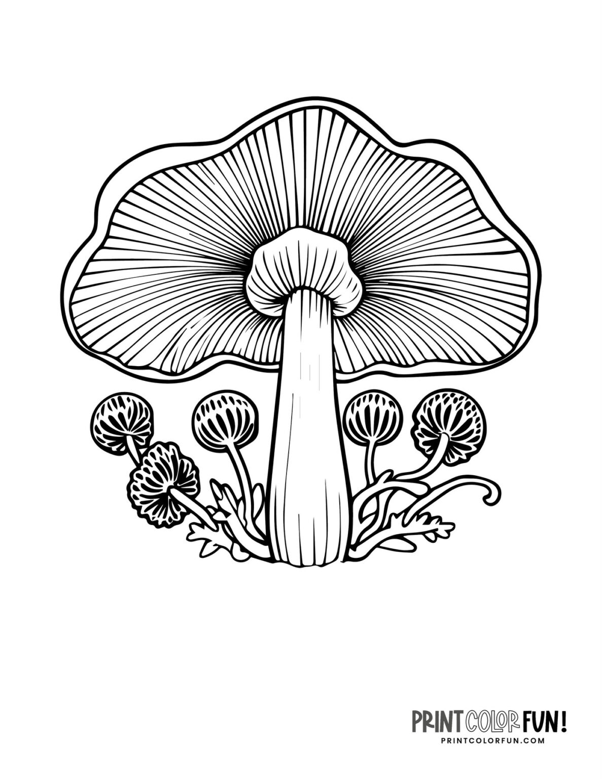 Mushroom coloring pages, crafts & 10 fun fungus facts to share with ...