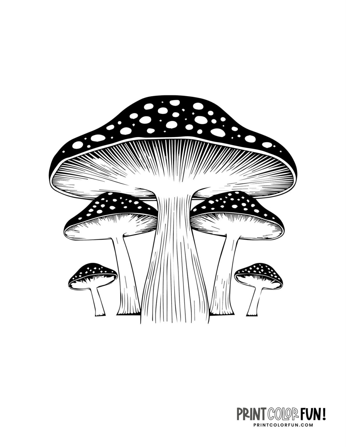 Mushroom coloring pages, crafts & 10 fun fungus facts to share with ...