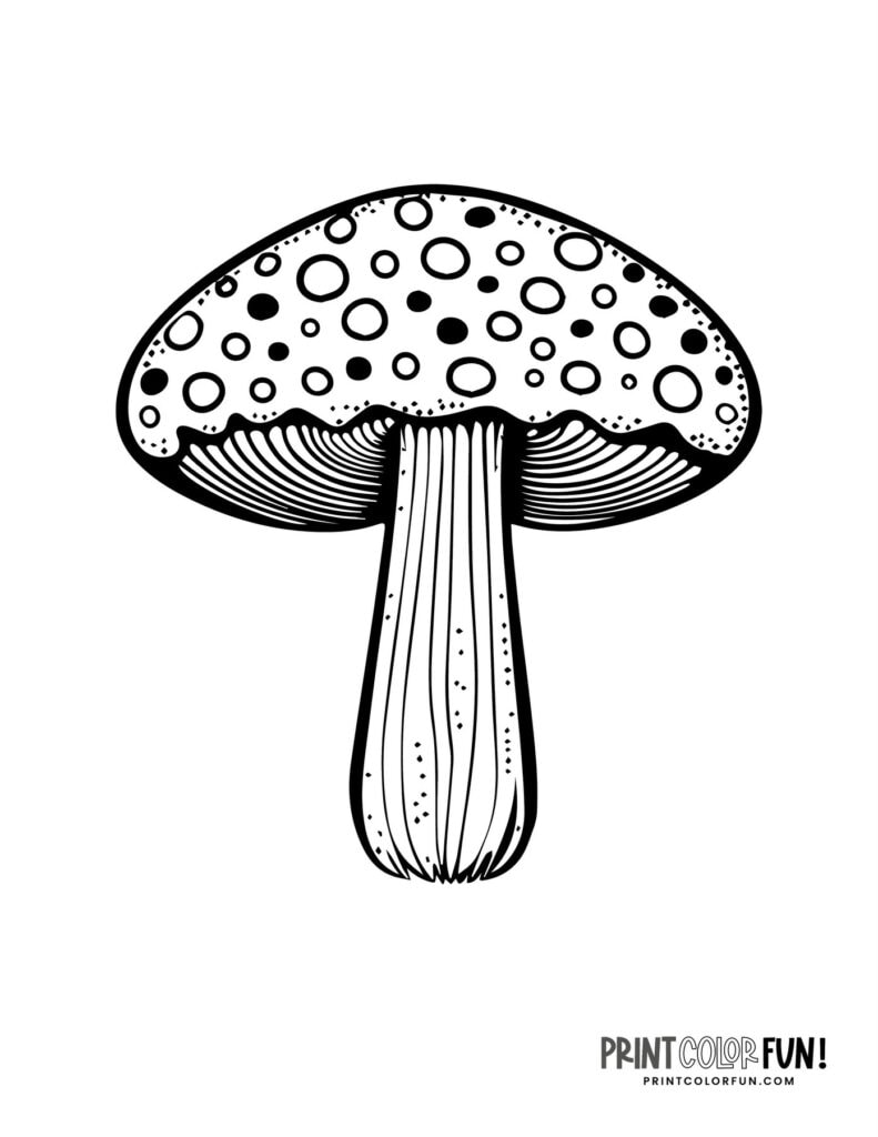 Mushroom coloring pages, crafts & 10 fun fungus facts to share with ...