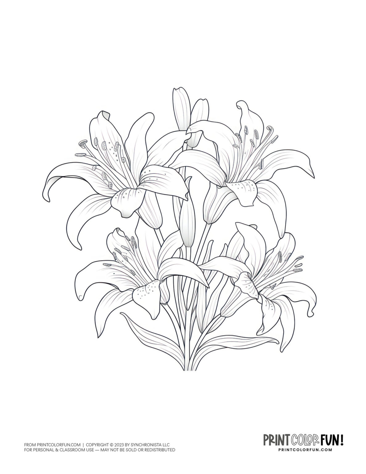 Easter flower coloring pages & clipart, at PrintColorFun.com