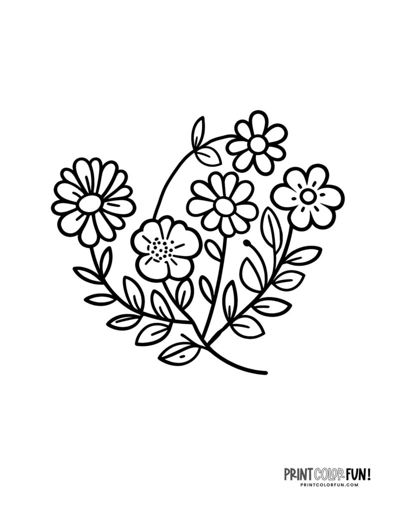 50 flower coloring pages & clipart to color a whole garden, at ...