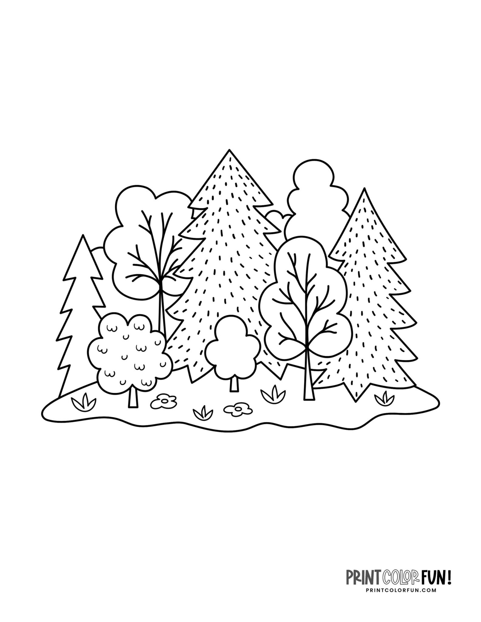 15 Forest clipart & coloring pages: Learning fun with mountains, trees ...