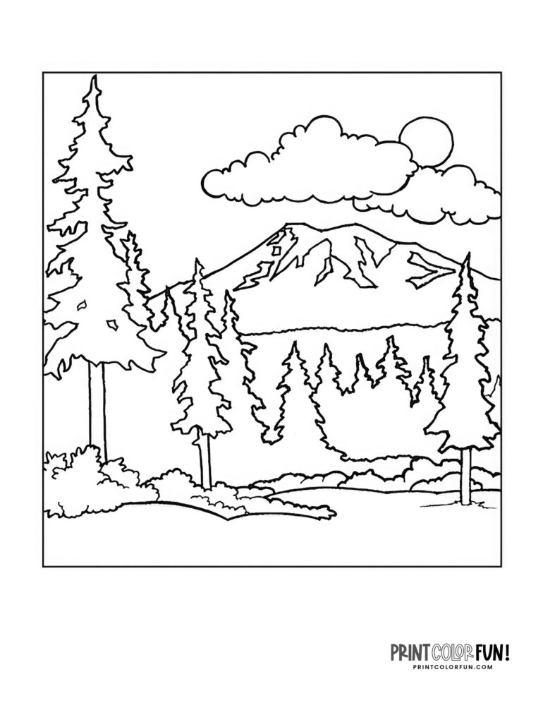 15 Forest clipart & coloring pages: Learning fun with mountains, trees ...
