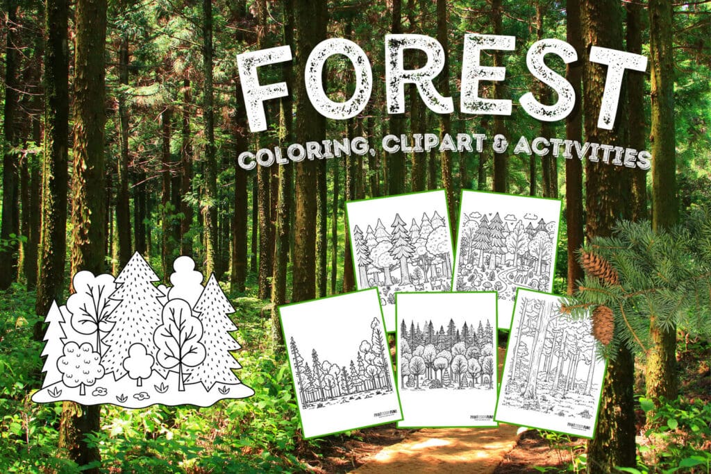 15 Forest clipart & coloring pages: Learning fun with mountains, trees ...