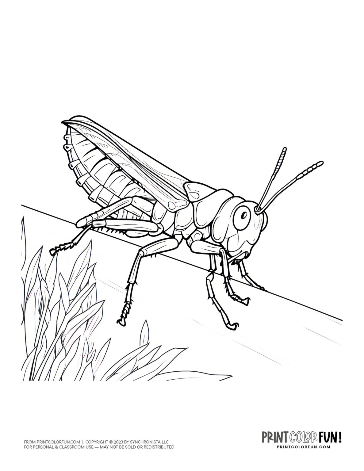 30+ bug clipart & coloring pages: Explore the tiny universe with fun ...
