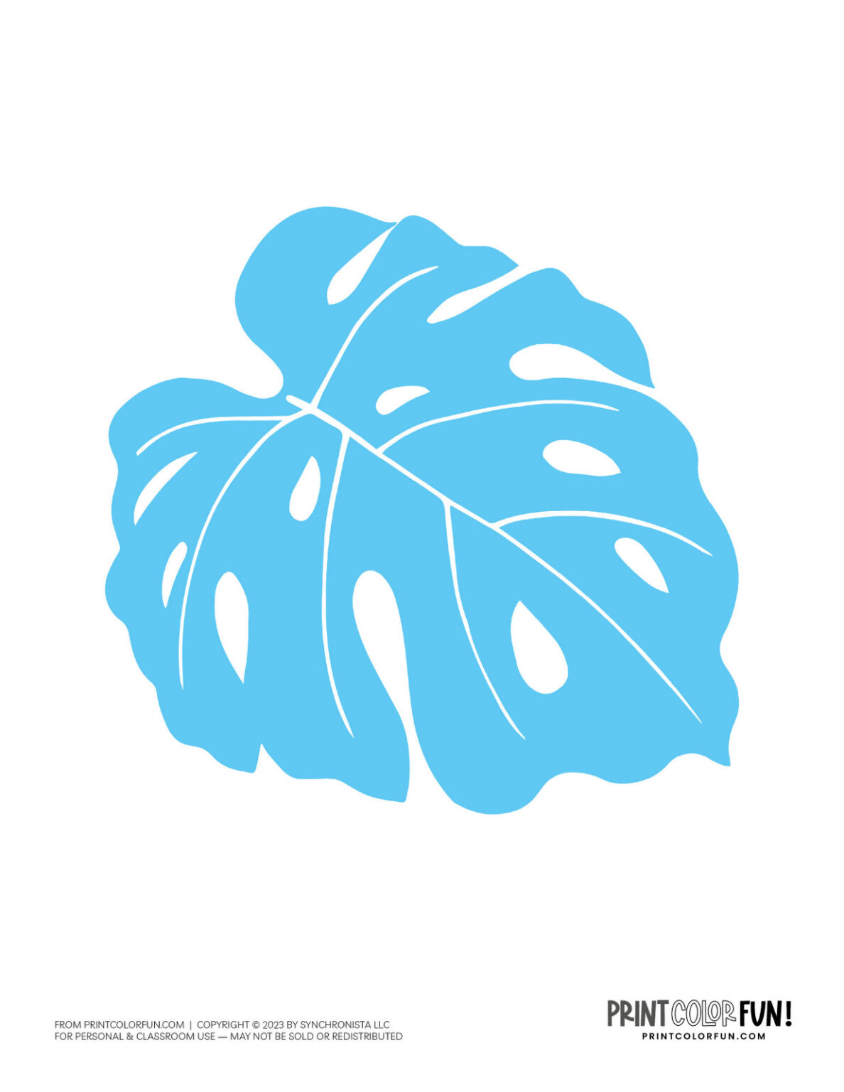 Free Hawaiian quilt patterns to applique or stencil, at PrintColorFun.com