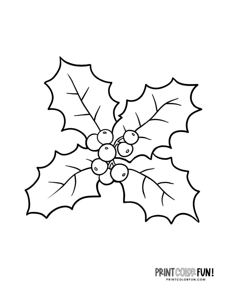 11 holly clipart & coloring pages for festive Christmas crafting fun ...