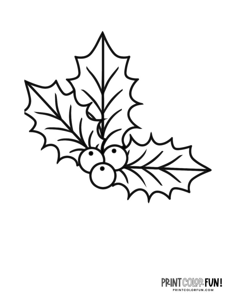 11 holly clipart & coloring pages for festive Christmas crafting fun ...