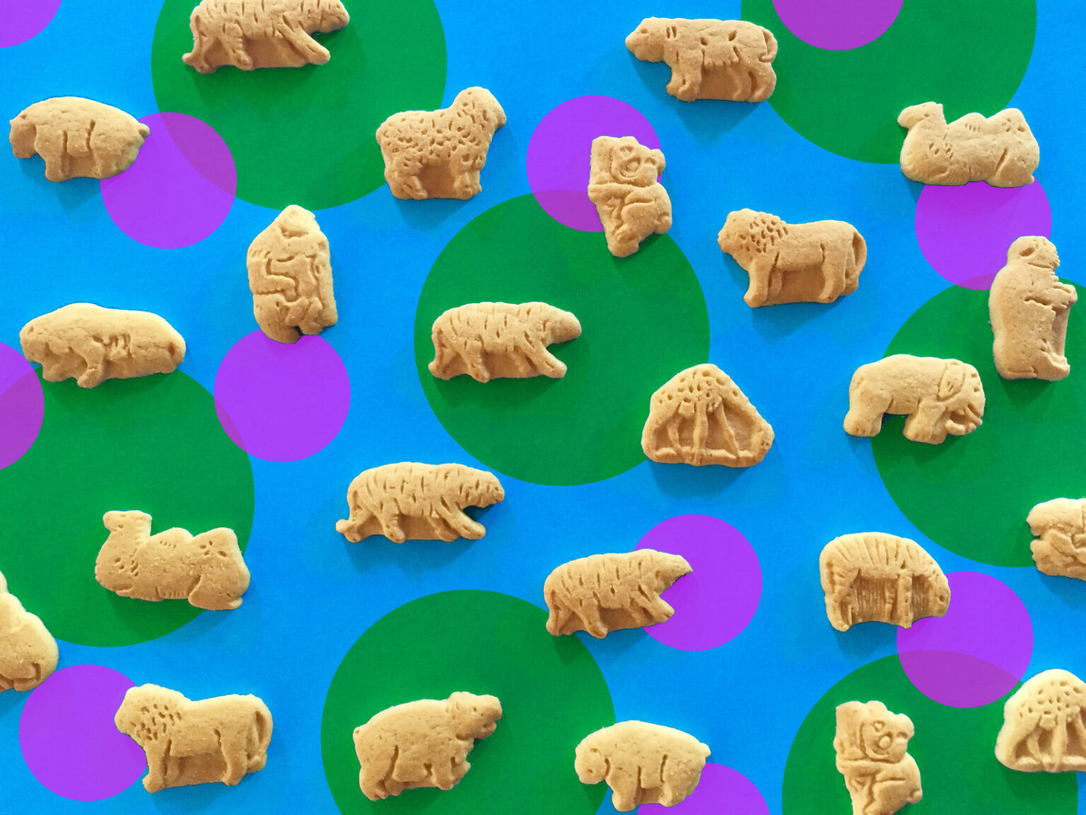 National Animal Crackers Day at Debra Helton blog