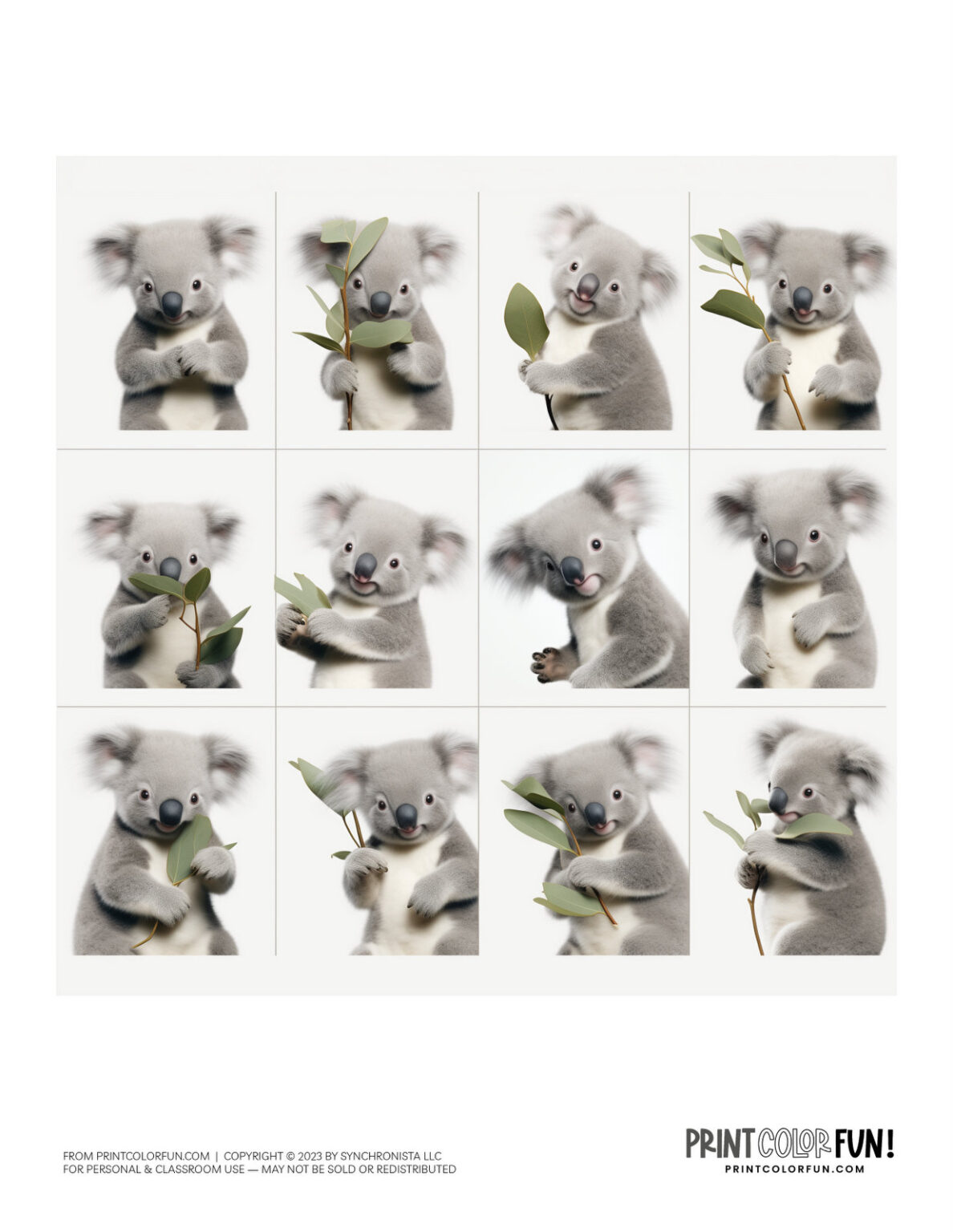 21 free cute Koala coloring pages & koala clipart printables, at ...