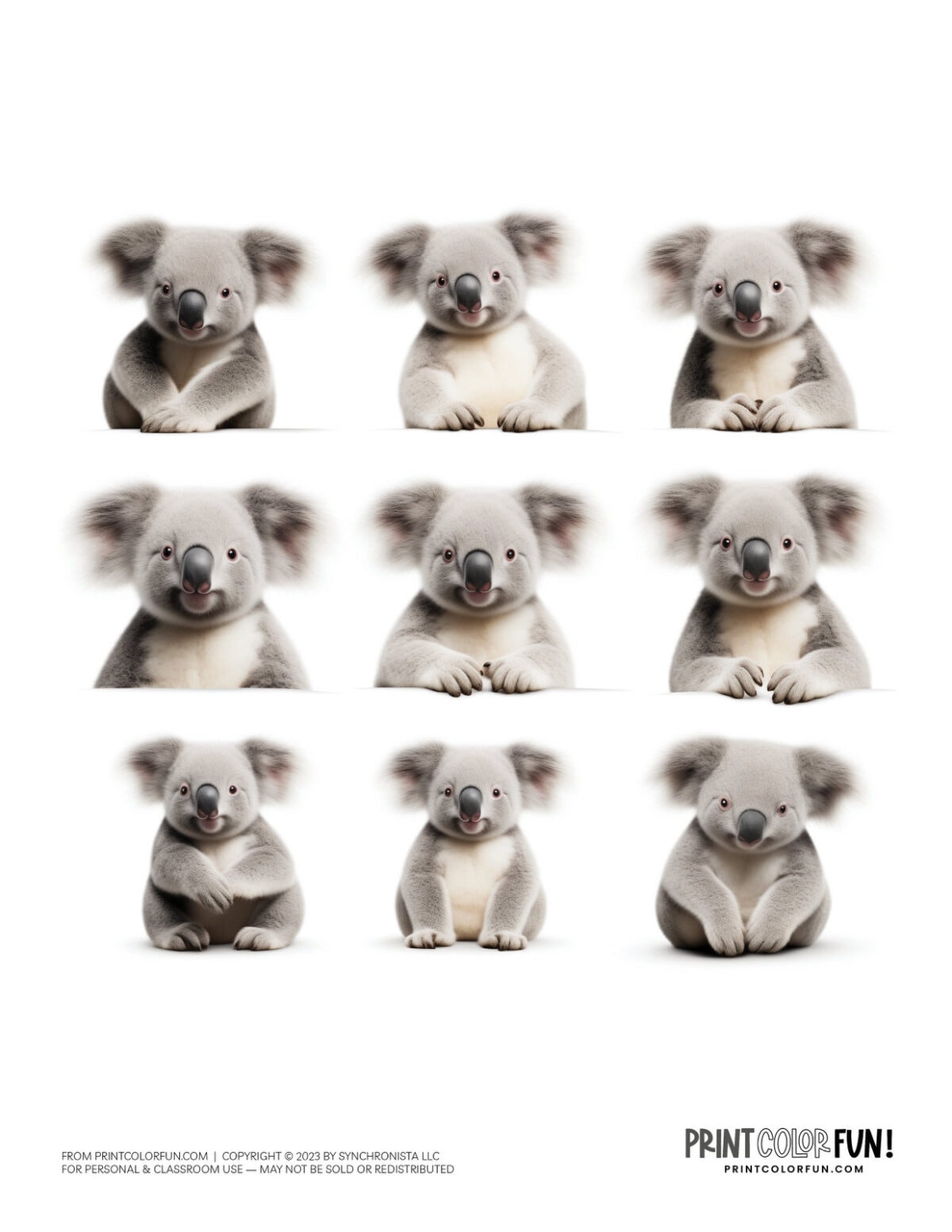 21 free cute Koala coloring pages & koala clipart printables, at ...