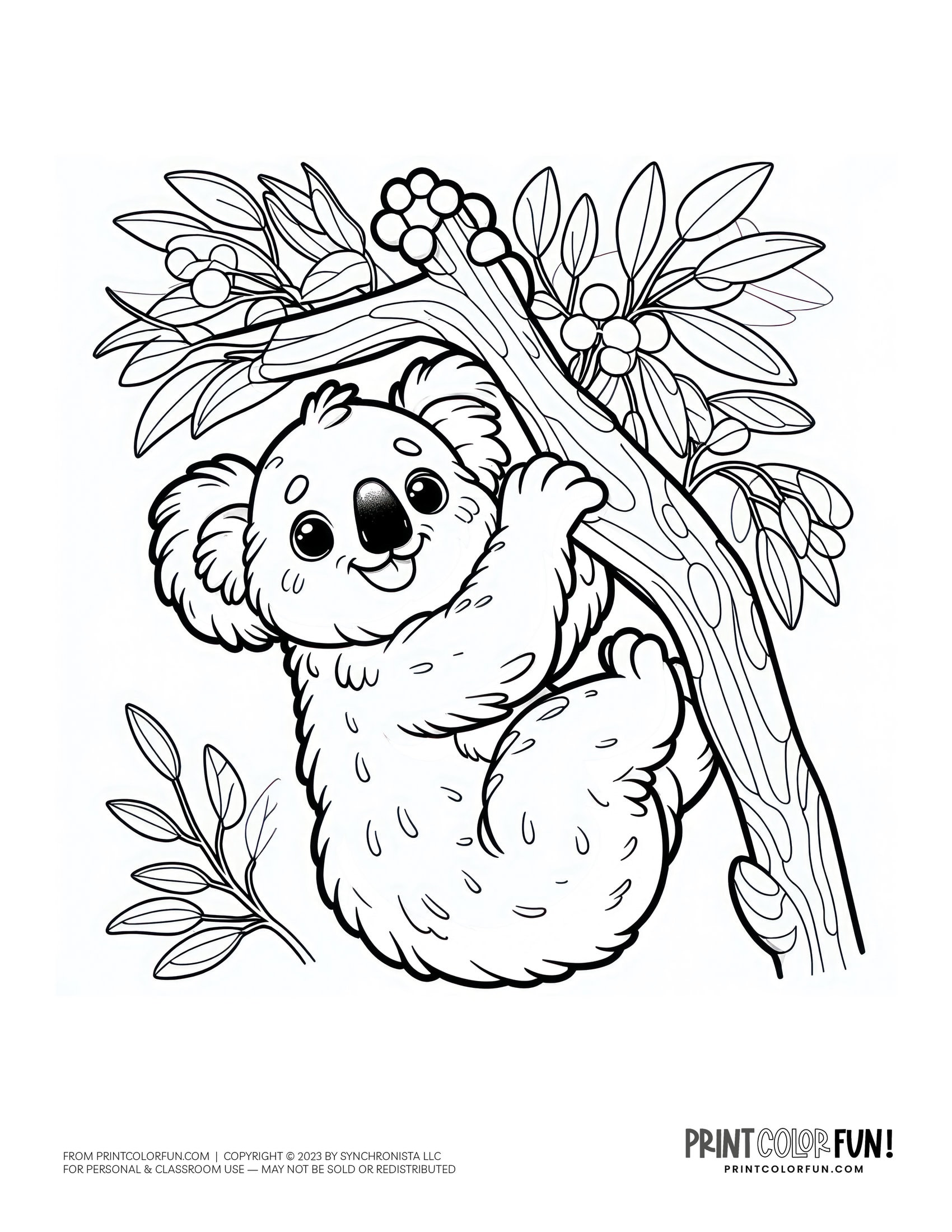 21 free cute Koala coloring pages & koala clipart printables, at ...