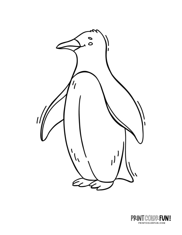Penguin Pictures To Color Walking