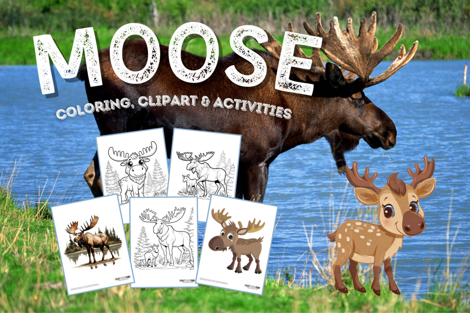 12+ Moose clipart & coloring pages, plus 10 engaging craft and learning ...
