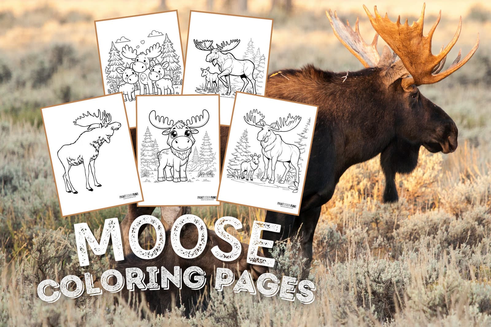 Moose coloring pages, at PrintColorFun.com