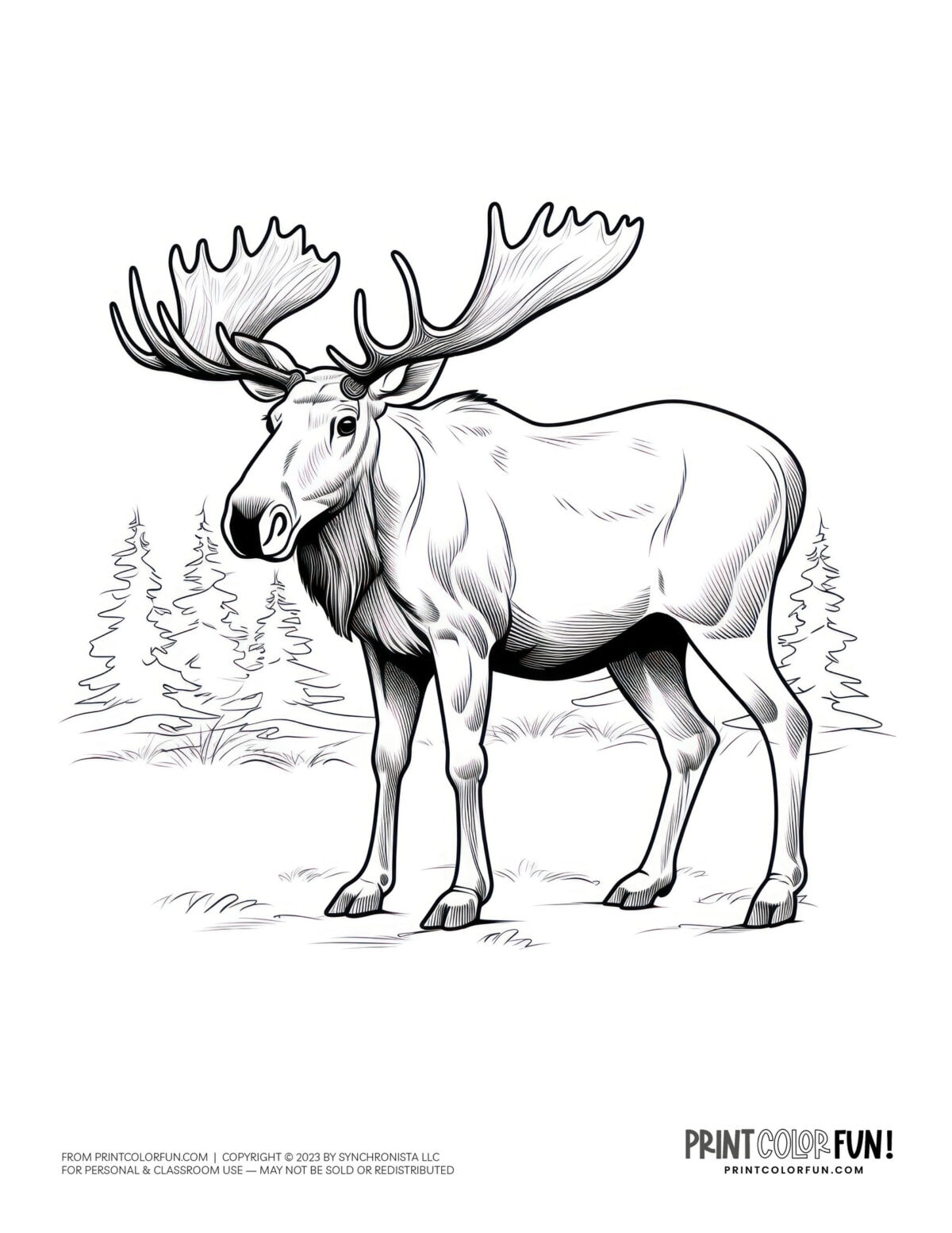 12+ Moose clipart & coloring pages, plus 10 engaging craft and learning ...