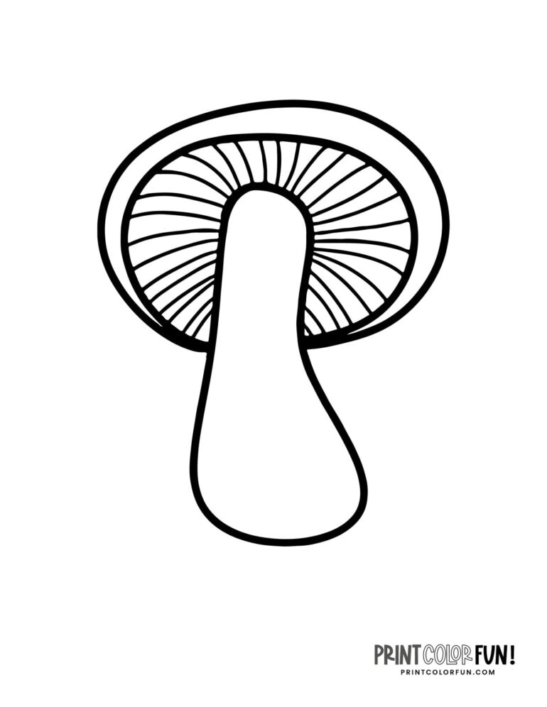 Mushroom coloring pages, crafts & 10 fun fungus facts to share with ...