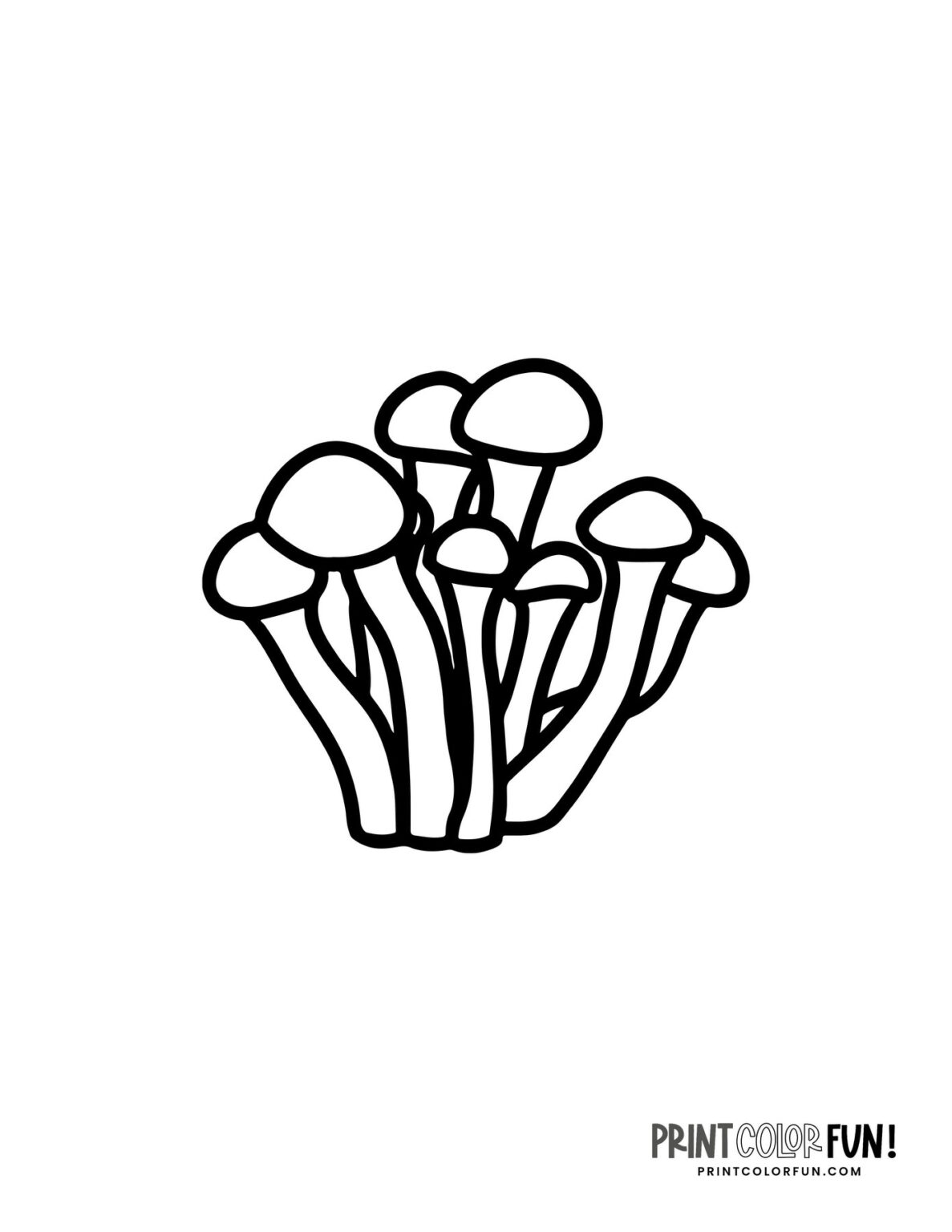 Mushroom coloring pages, crafts & 10 fun fungus facts to share with ...