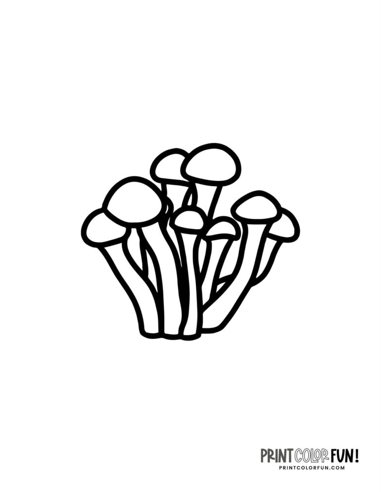 Mushroom coloring pages, crafts & 10 fun fungus facts to share with ...