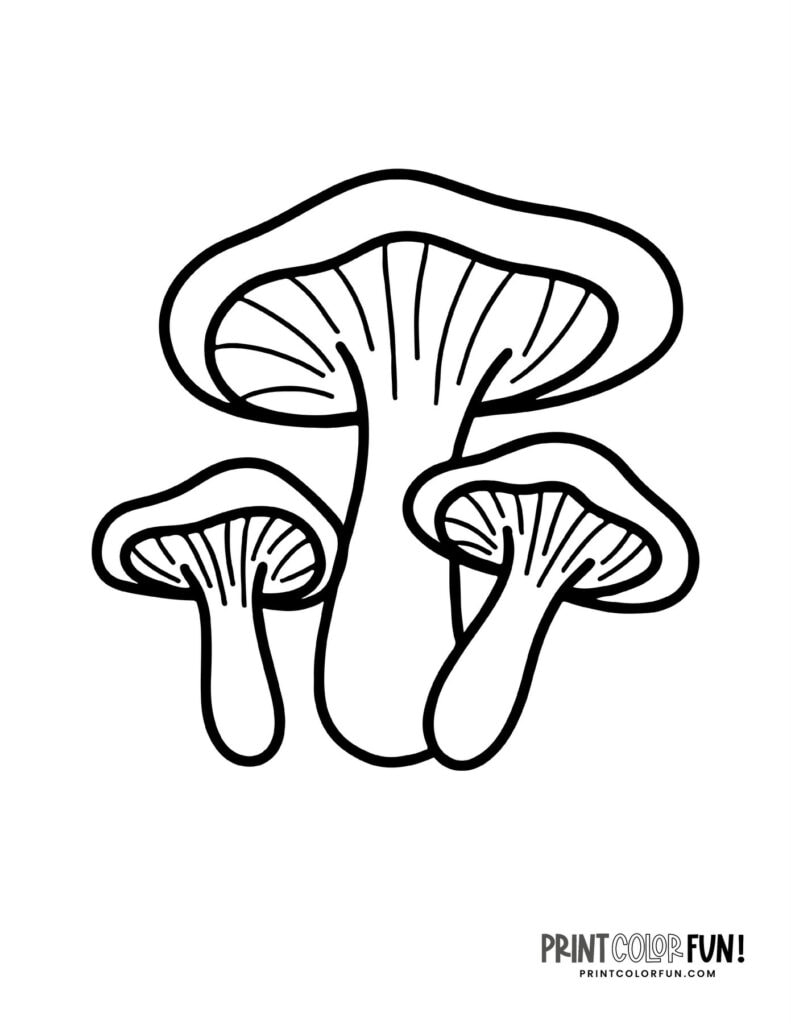 Mushroom coloring pages, crafts & 10 fun fungus facts to share with ...