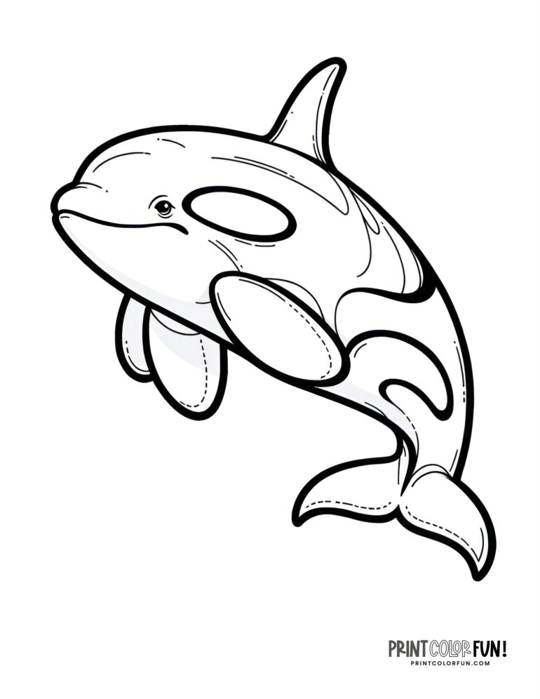 Orca coloring pages: Killer whale clip art & 10 fun crafts & learning ...