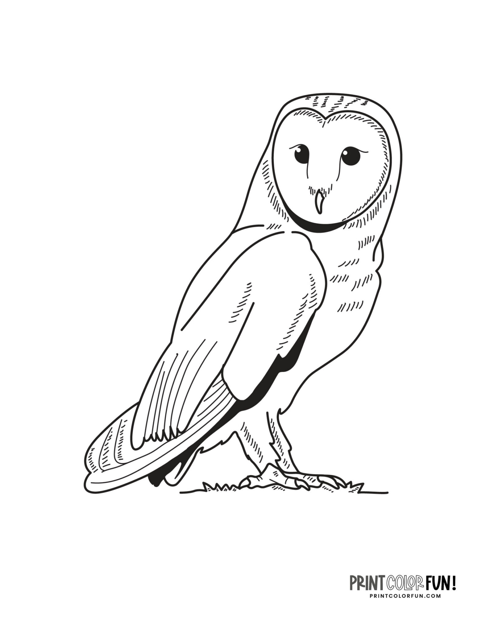 Whoo's ready to color? 38 fun owl coloring pages & clipart for young ...