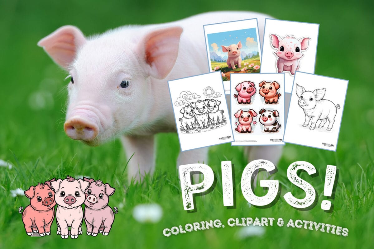 30 pig clipart & coloring pages: Go hog wild with our exclusive ...