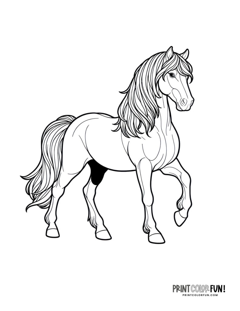 40 beautiful horse coloring pages plus crafts & educational games to ...