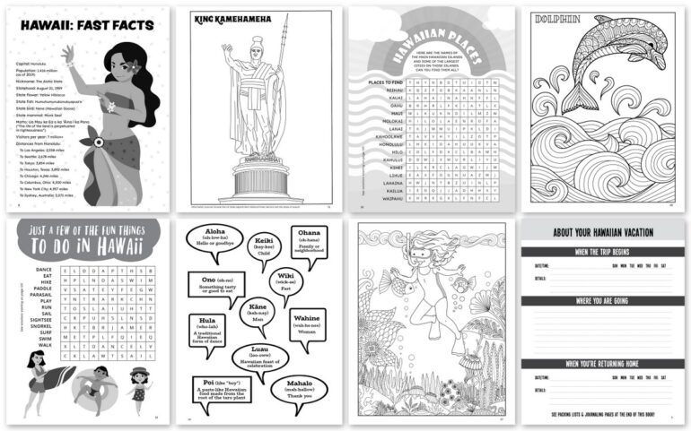 The Ultimate Hawaii Activity Book: Find out what's inside!, at ...