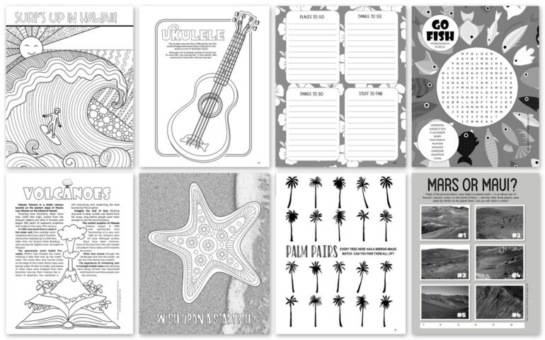 The Ultimate Hawaii Activity Book: Find out what's inside!, at ...